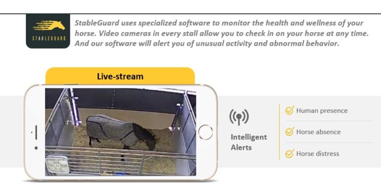 3 AI Innovations In Equine Health Monitoring — EQuine AMerica Magazine